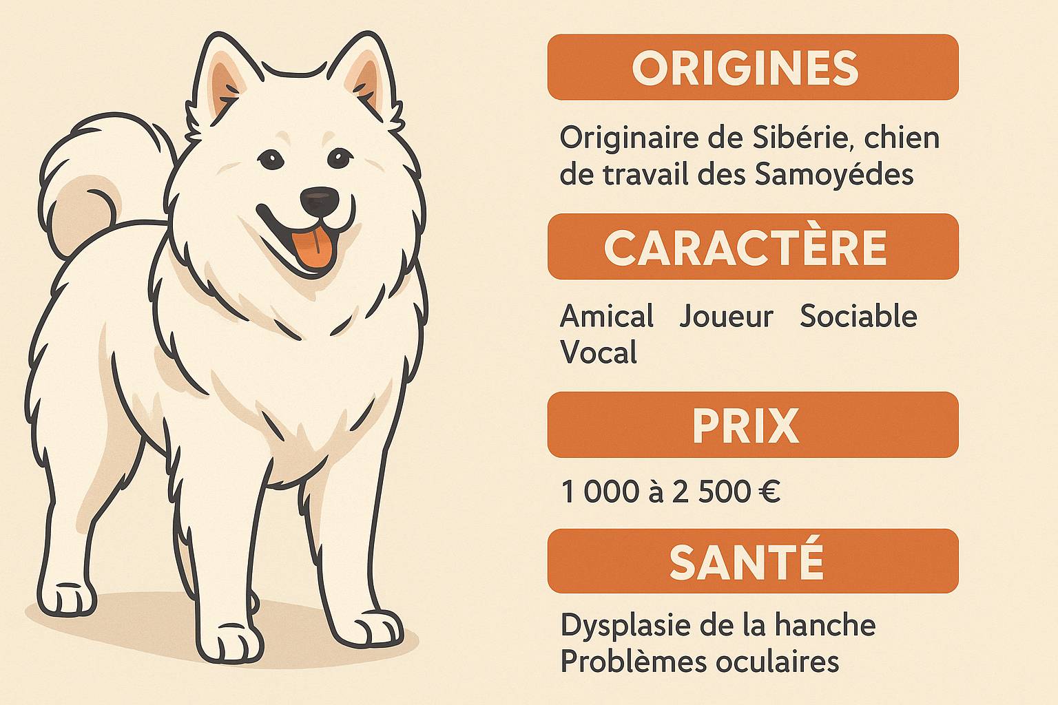 Samsky : Origines, Caractère, Prix et Santé - Chien Conseils